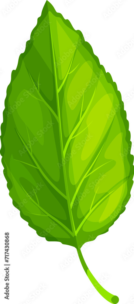 Vetor de Green tree leaf, isolated cartoon vector foliage, vital ...