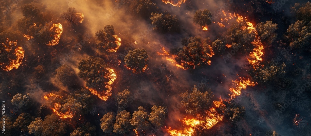 Wildfire in California forest burns trees and dry grass from an aerial ...