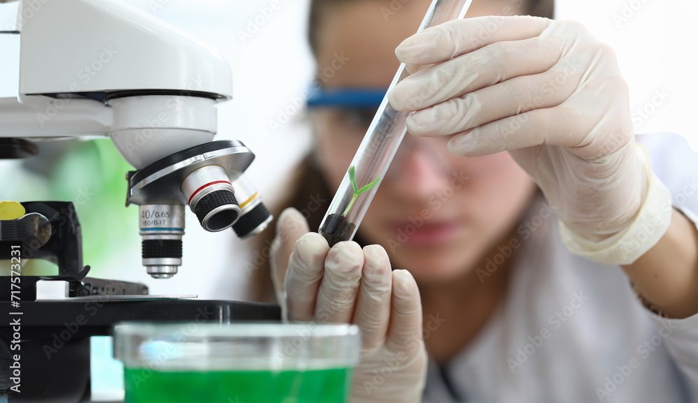 Woman in laboratory looks at soil with sprout. Agronomist creates ...