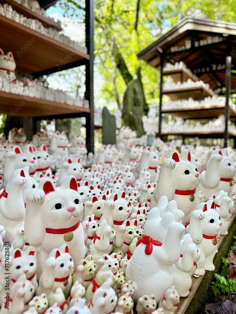 Maneki Neko beckoning cat lucky cat in Gotokuji Temple, Tokyo 1 Stock ...