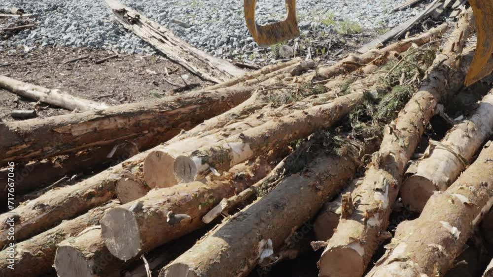 Logging Industry Vehicle Using Crane To Pile Up Timber Material. Timber ...