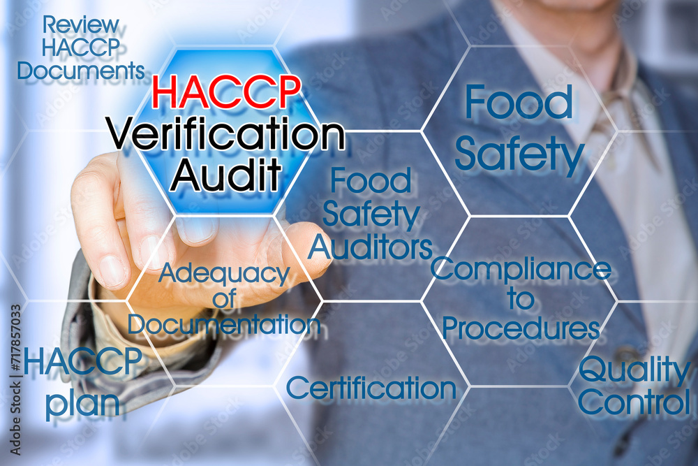 HACCP Verification AUDIT concept - Hazard Analysis and Critical Control Points - Food Safety and ...