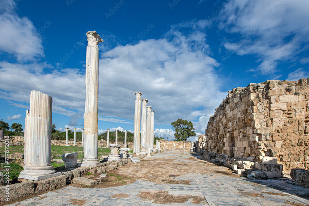 Columns and ruins in the ancient city of Salamis in Cyprus. Salamis ...