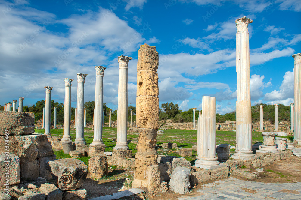 Columns and ruins in the ancient city of Salamis in Cyprus. Salamis ...