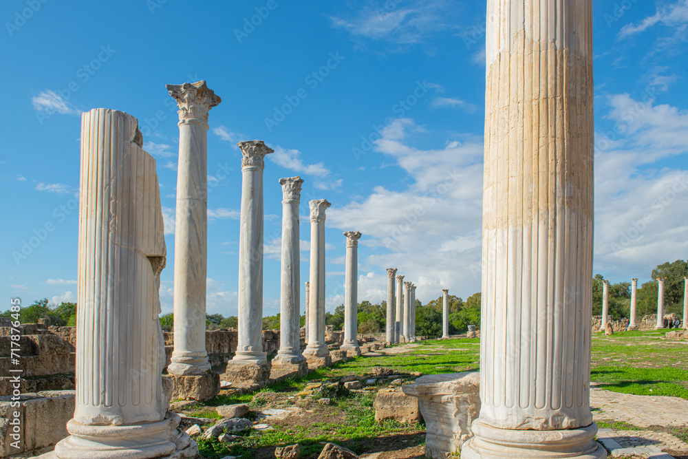 Columns and ruins in the ancient city of Salamis in Cyprus. Salamis ...