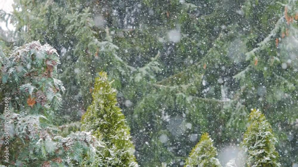 Blizzard Snow Storm During Heavy Winds Winter Snowfall in Mountains ...