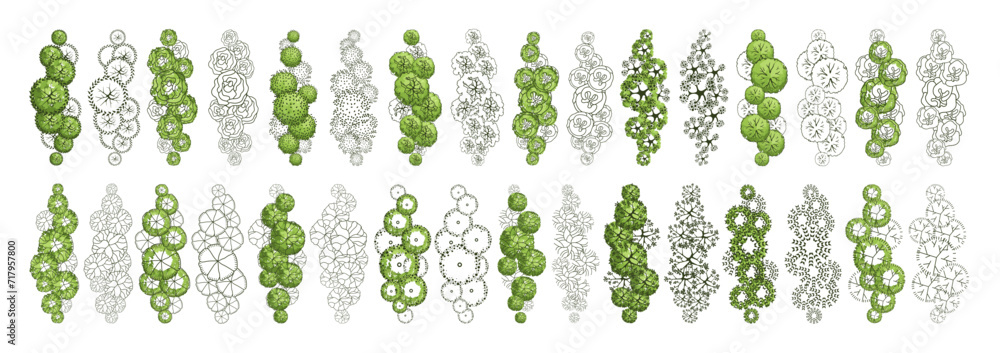 Group of trees for architectural floor plans. Entourage design. Various ...