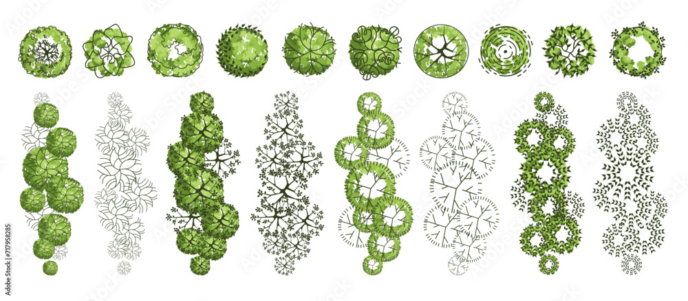 Tree for architectural floor plans. Entourage design. Various trees ...