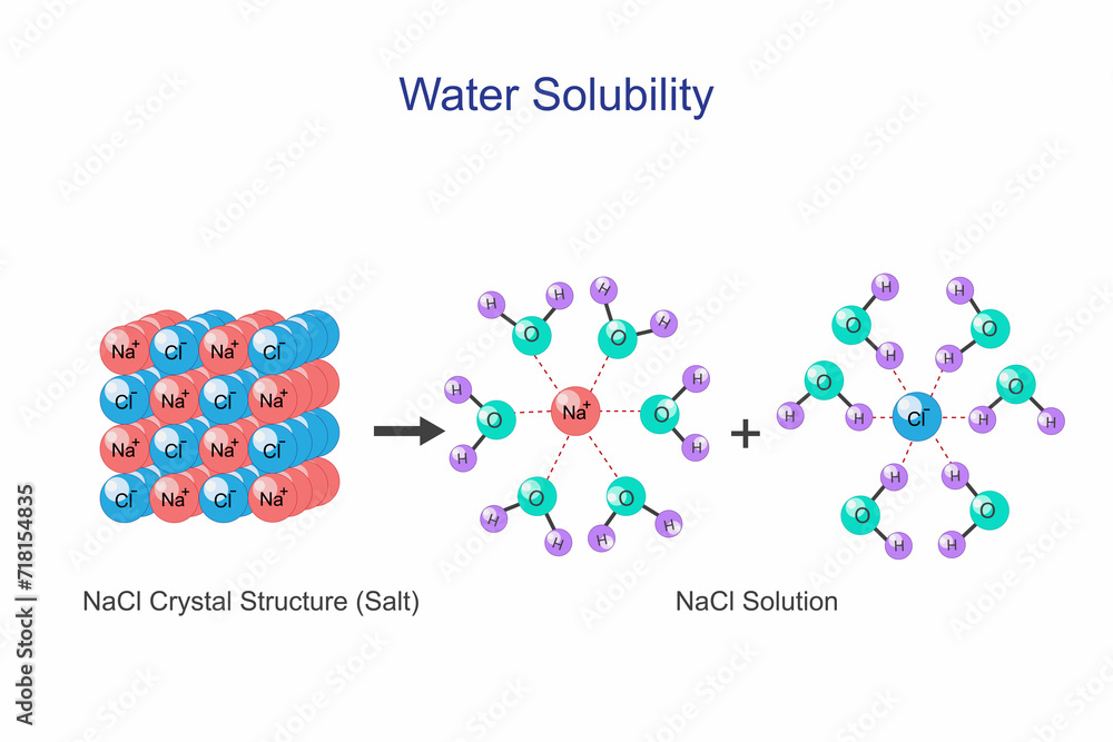 Water solubility of sodium chloride ( NaCl ) or salt. Aquous solution ...