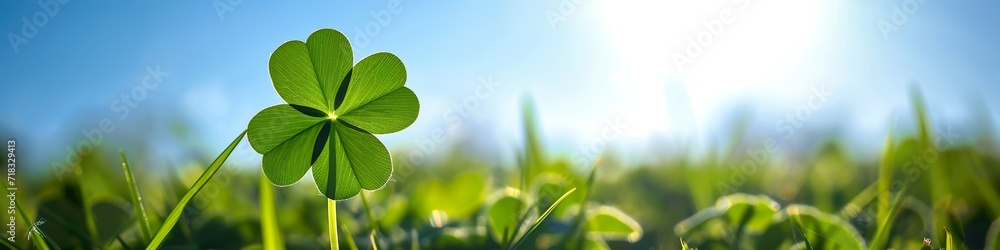 Single good luck four-leaf clover with copy space for text. Vertical ...