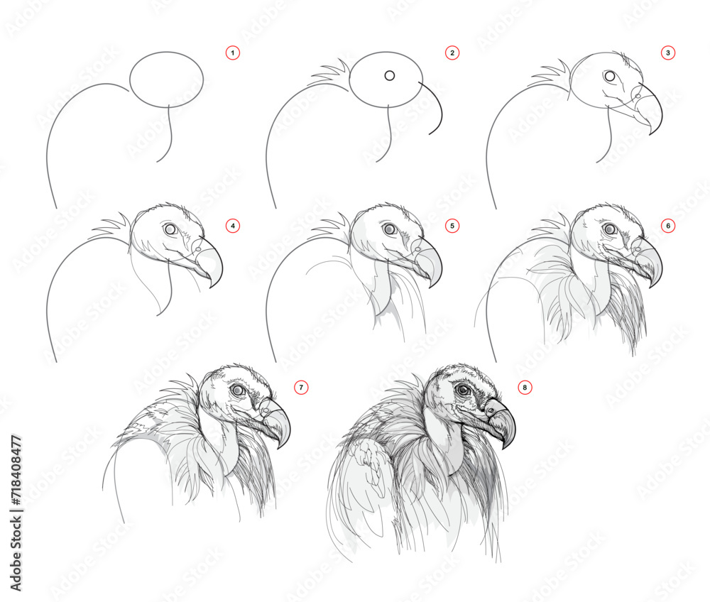 Page shows how to learn to draw from life sketch a vulture. Pencil ...
