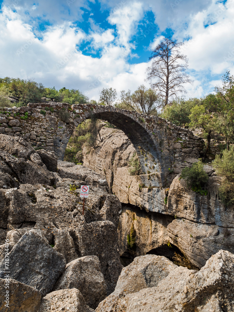 Ancient arch bridge over a river in a canyon in Koprulu National Park ...