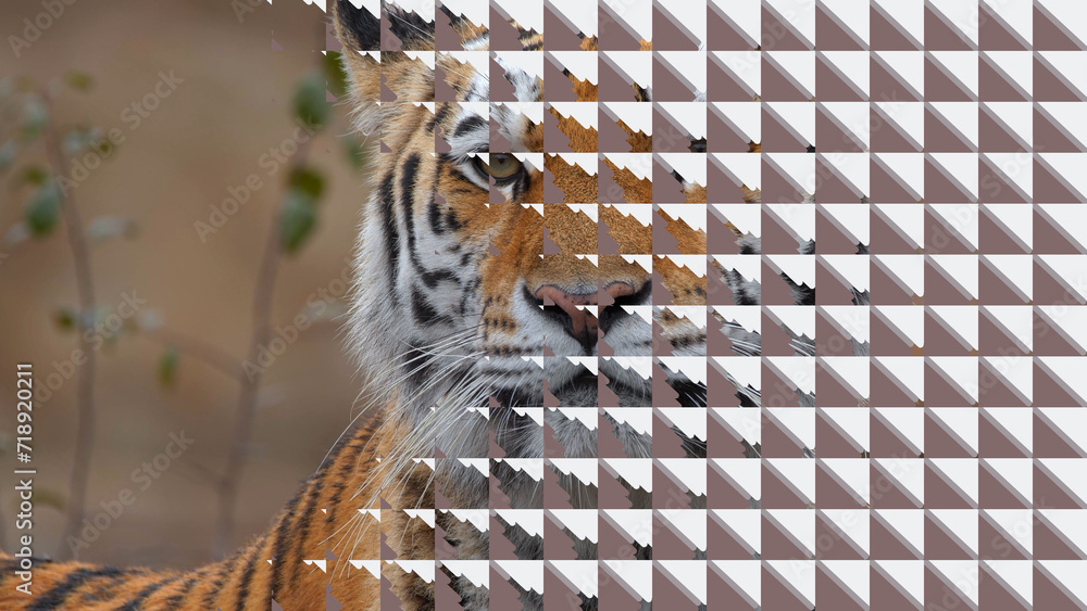 Linear Sweep | Color Control Panel Stock Template | Adobe Stock