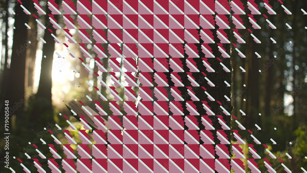 Diagonal Divide | Color Control Panel Stock Template | Adobe Stock