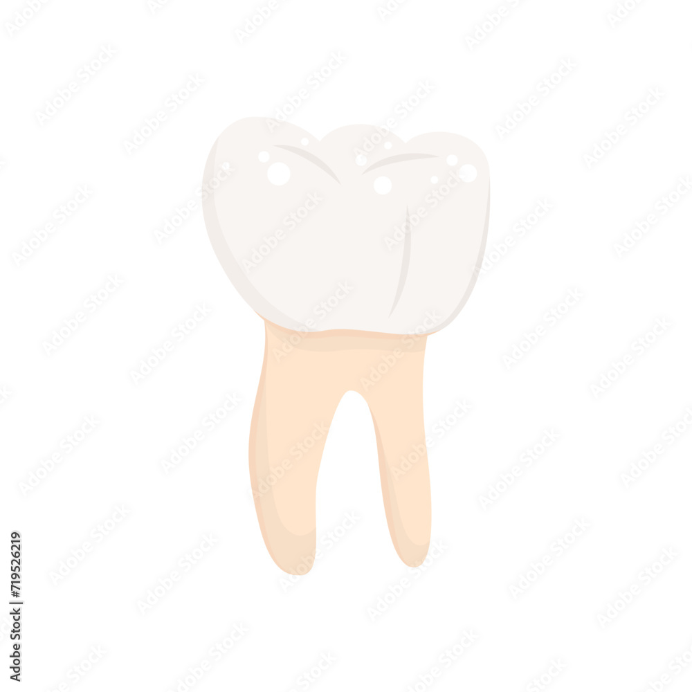 Tooth Vector, Teeth Vector, Dental School, Dental Illustration ...