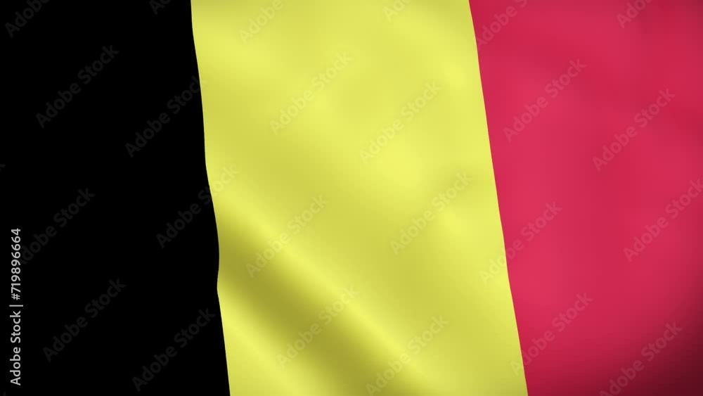 Belgian flag waving in wind video footage Full HD. Realistic Belgian ...