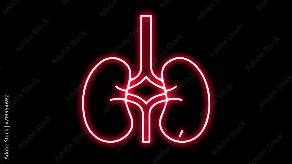 Neon kidney icon in a line style for humans. kidney-line symbol. Neon ...