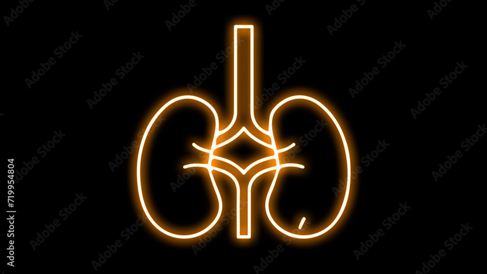 Neon kidney icon in a line style for humans. kidney-line symbol. Neon ...
