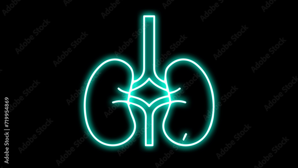 Neon kidney icon in a line style for humans. kidney-line symbol. Neon ...