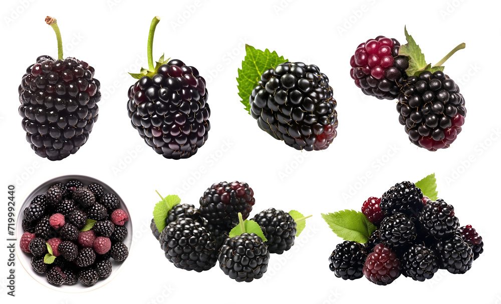 Blackberry Blackberries bramble fruit, many angles and view side top ...