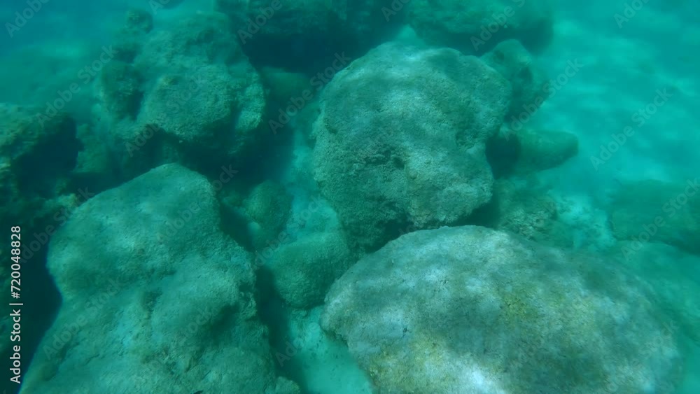 Vidéo Stock Large boulders of stones on sand seabed with sun glare in ...