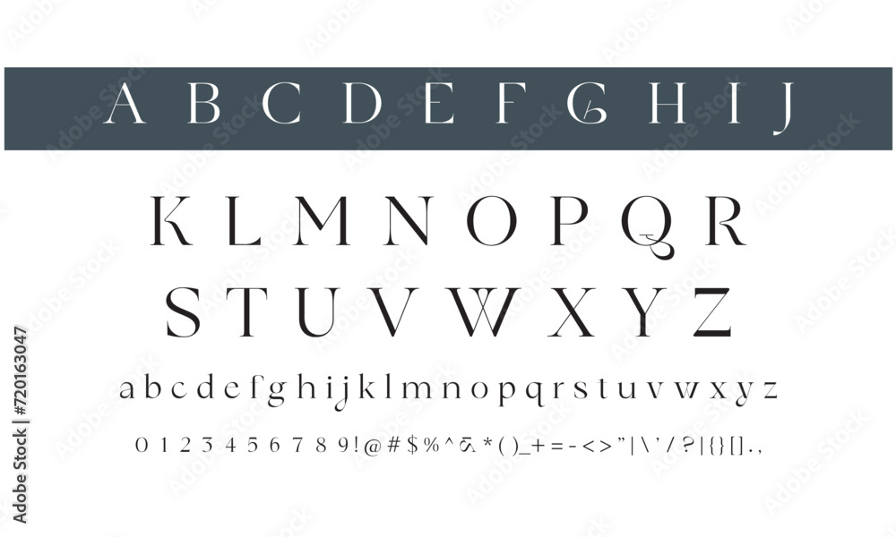 Alphabet letters font set. Classic patterns, custom logos, poster ...