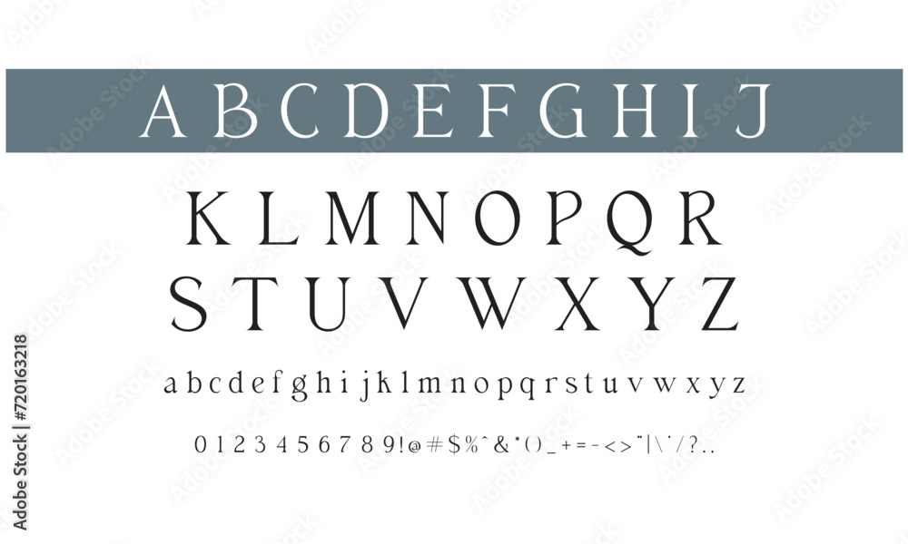 Alphabet letters font set. Classic patterns, custom logos, poster ...