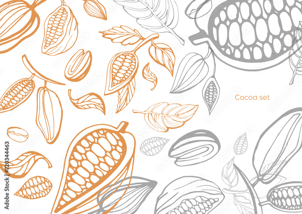 Vector set of hand drawing of cocoa, cocoa branches, leaves, coffee and ...
