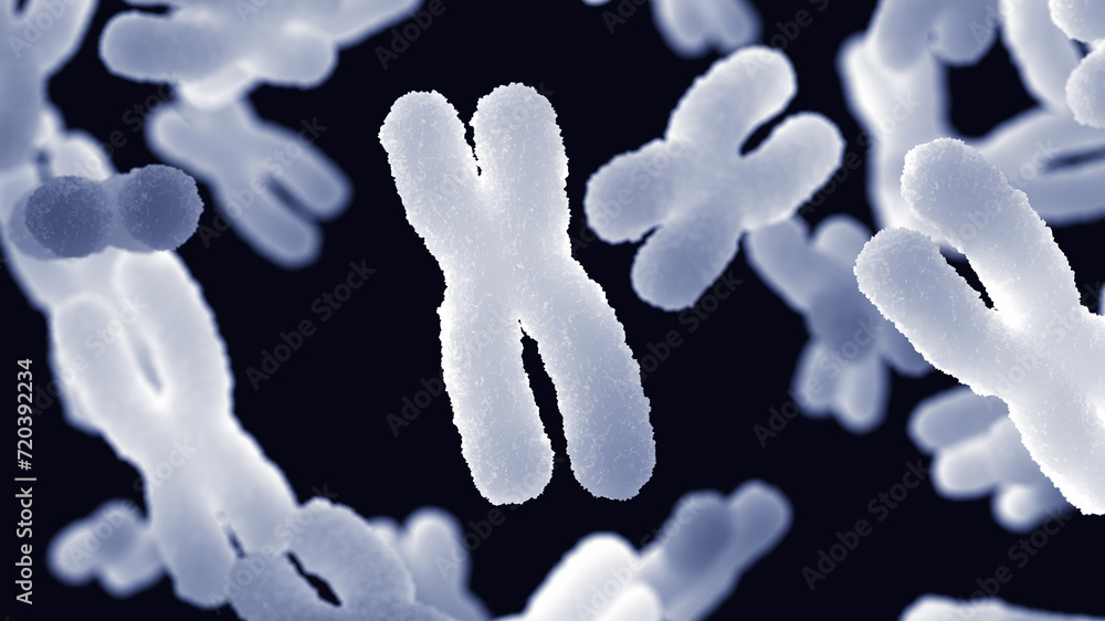 Chromosomes structure allows genetic data to be kept inside the nuclei ...