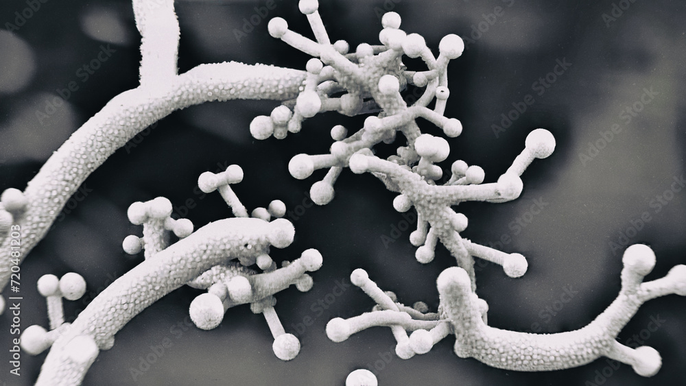 Bacteria, fungi, mold, and yeast on a dark background - candida yeast ...
