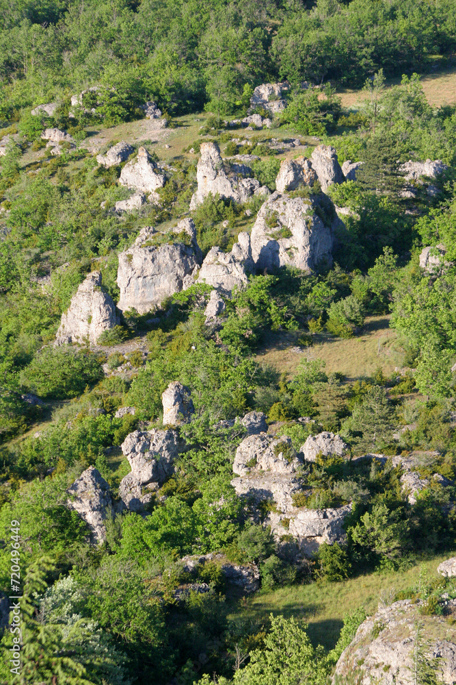 Plateau du Larzac, causse du Larzac, structures calcaires, dolomie ...
