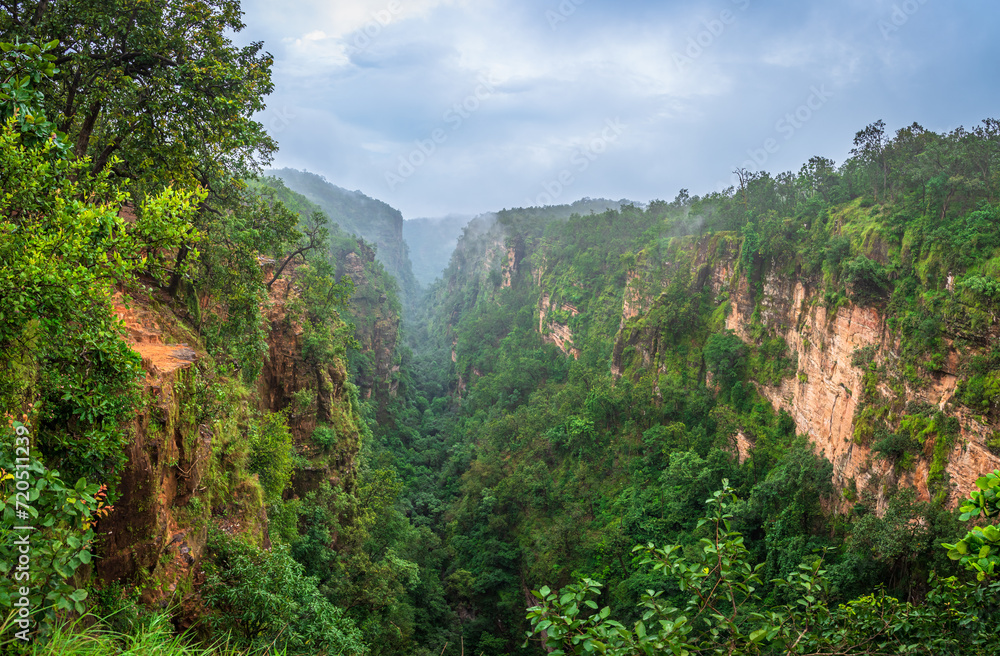 Enveloped in dense forest having medicinal plants and wriggling water ...