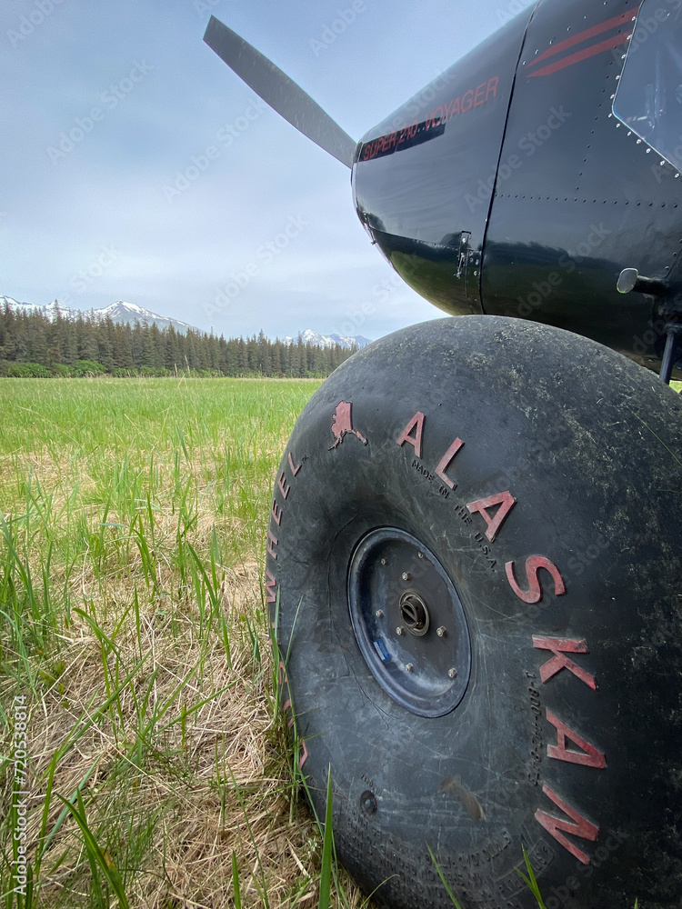 Lake Clark National Park, Alaska: Stinson Super Voyager with Alaskan ...