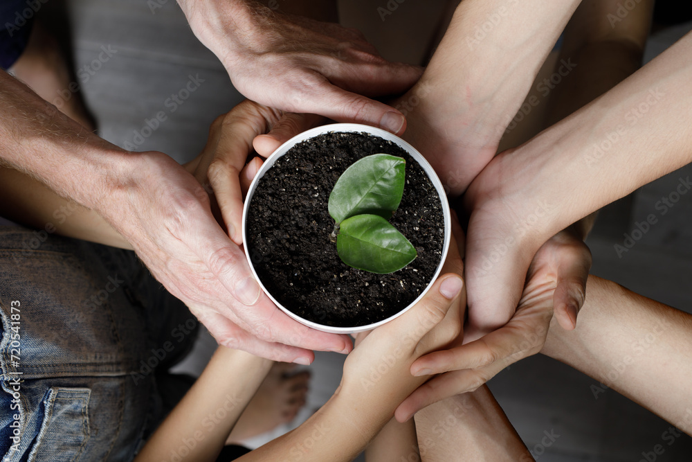 Human hands with green plant. Cooperation in planting trees has many ...