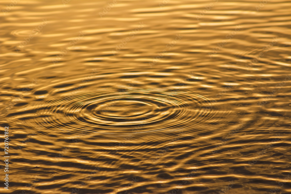 Illuminated Golden Ripple Effects in Lake Water at Sunrise or Sunset w ...