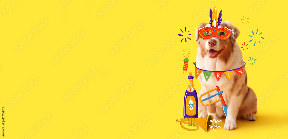 Cute Australian Shepherd dog with carnival disguise and decor on yellow ...