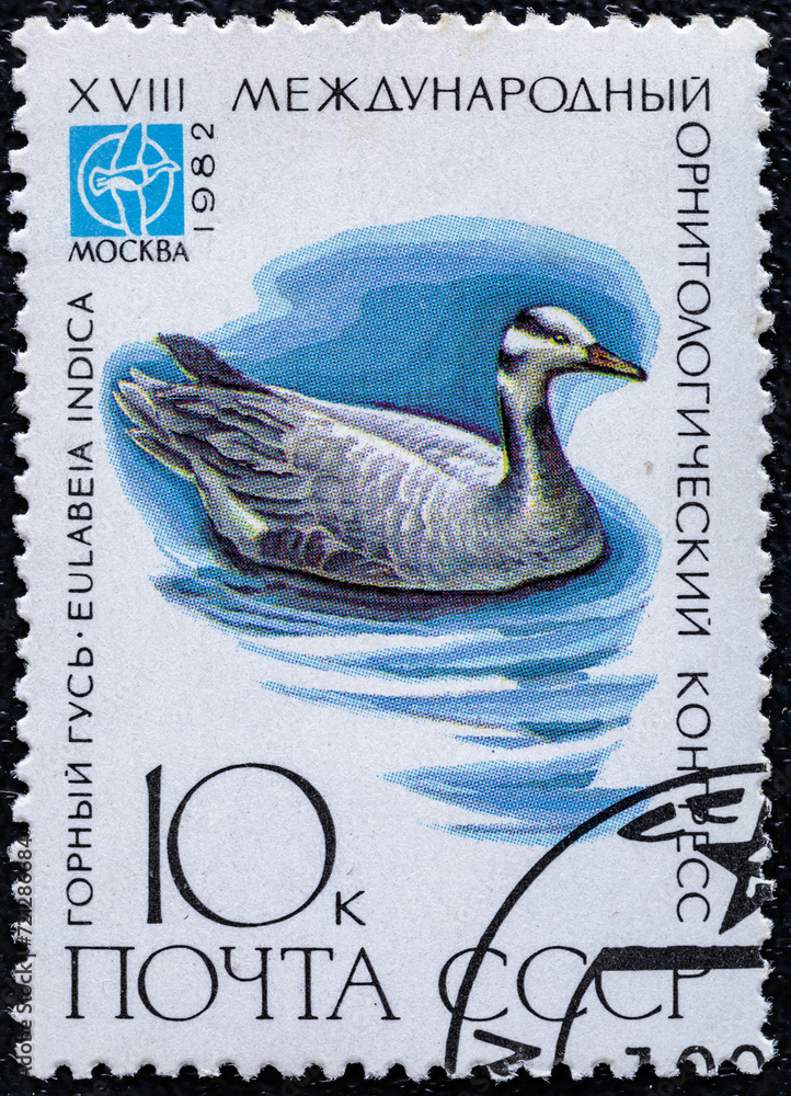 Soviet Union, circa 1982 : USSR post stamp.Series "XVIII International ...