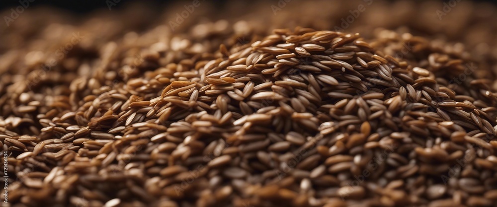 Brown Wild Rice, grains of wild brown rice spread out, their varied ...