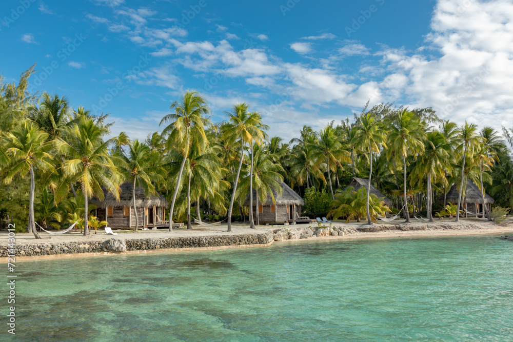 French Polynesia atoll with palm trees forest on the beach. - Over ...