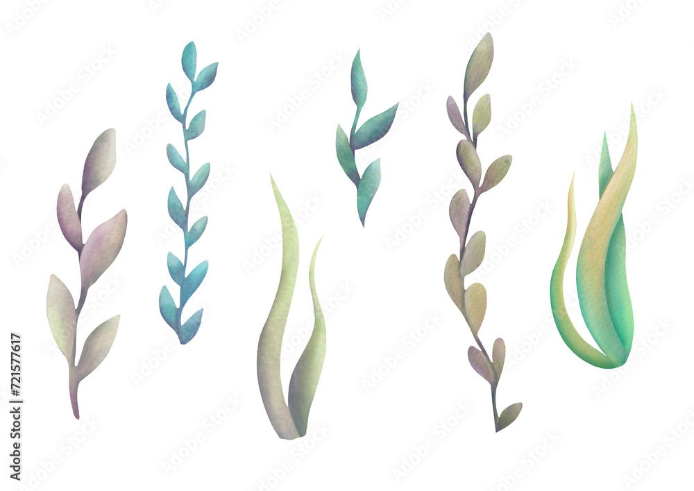 watercolor algae set. collection of cute underwater gentle, beautiful ...
