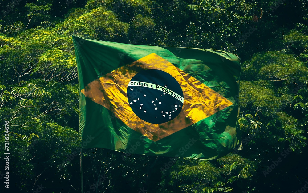 Bandeira do Agro Brasileiro, texto "ordem e Progresso Stock ...