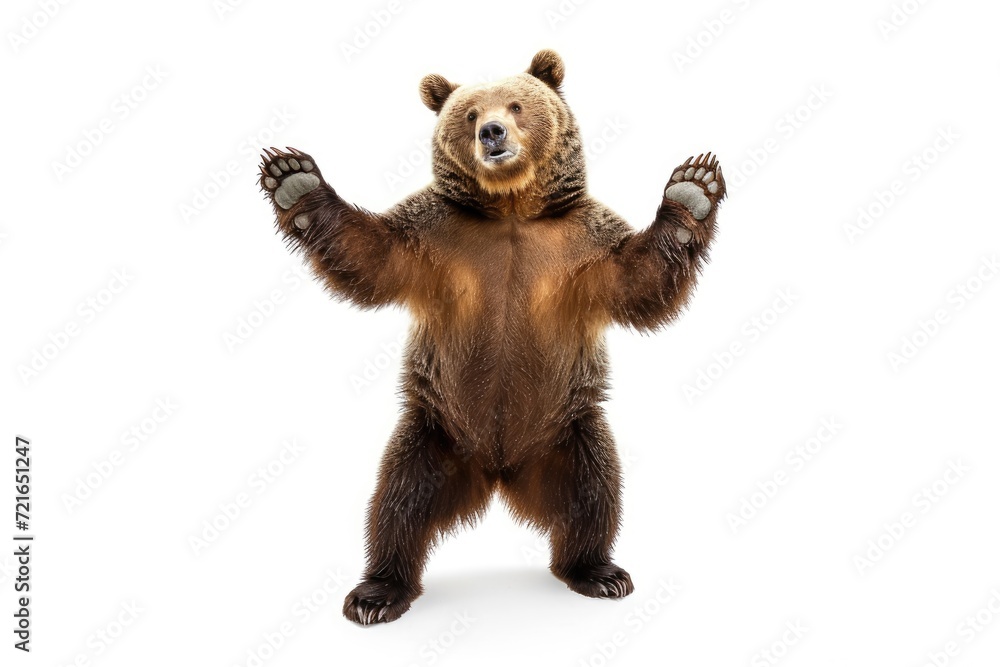 Powerful Majestic Bear Pose. Impressive picture of a big brown bear ...