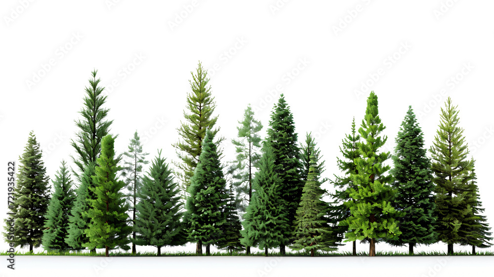 Green evergreen fir pine spruce trees treeline isolated on transparent ...