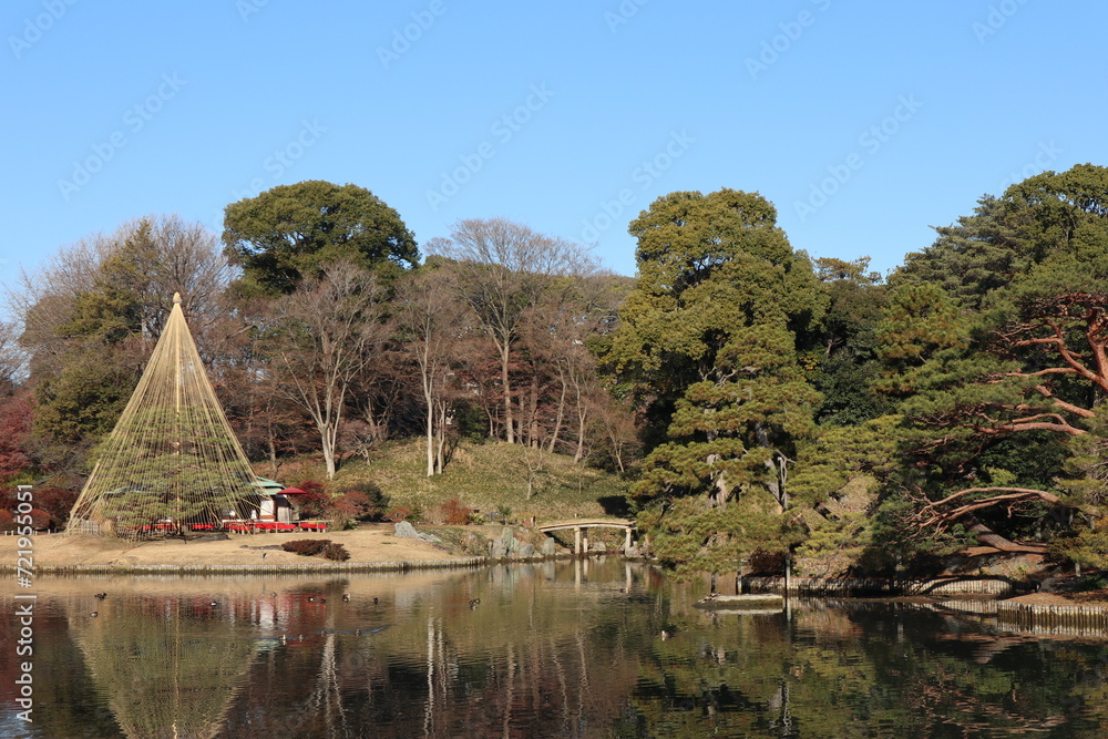 Daisensui Pond and Yukitsuri (snow hanging) in Rikugien Garden, Tokyo ...