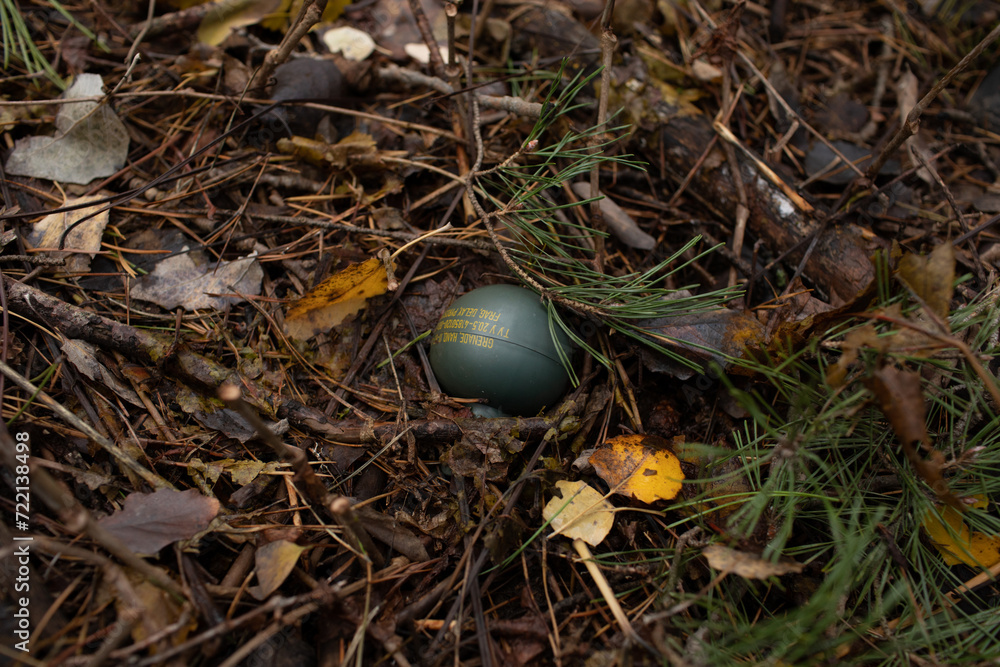 Military. A NATO-standard training grenade lies among the leaves in the ...