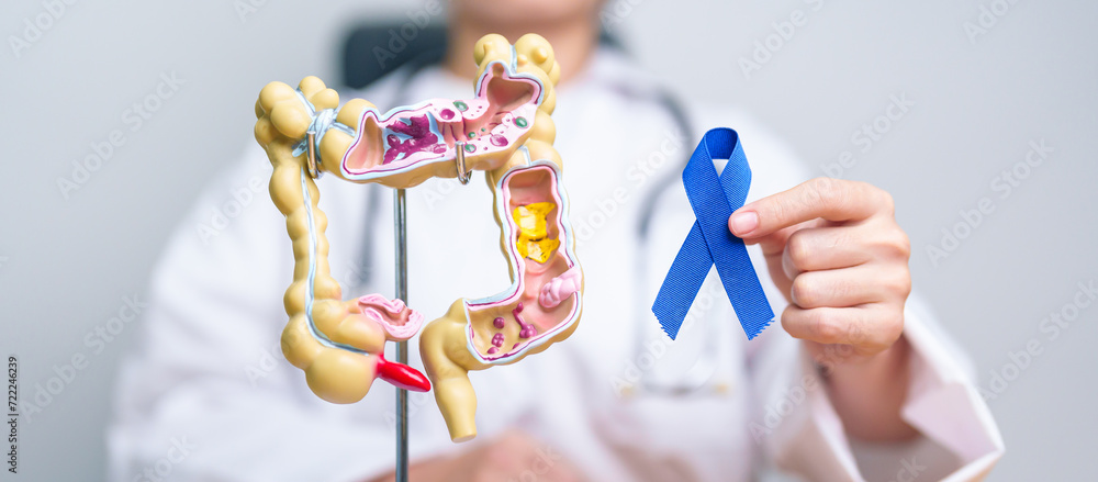 Doctor holding Blue ribbon with human Colon anatomy model. March ...