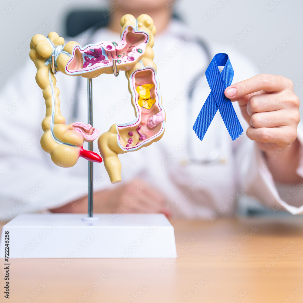 Doctor holding Blue ribbon with human Colon anatomy model. March ...