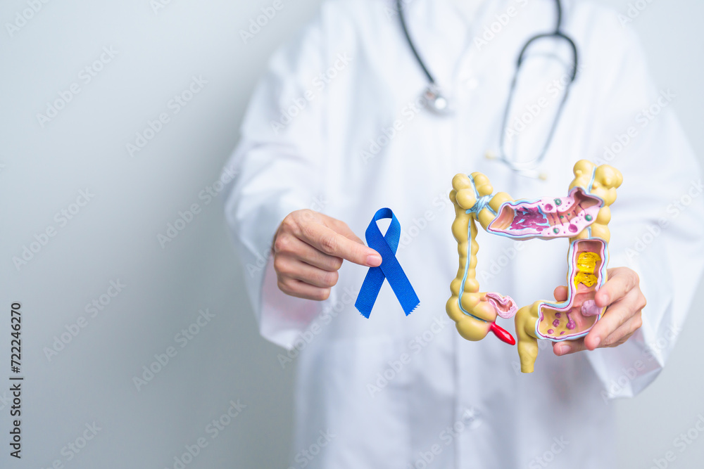 Doctor holding Blue ribbon with human Colon anatomy model. March ...