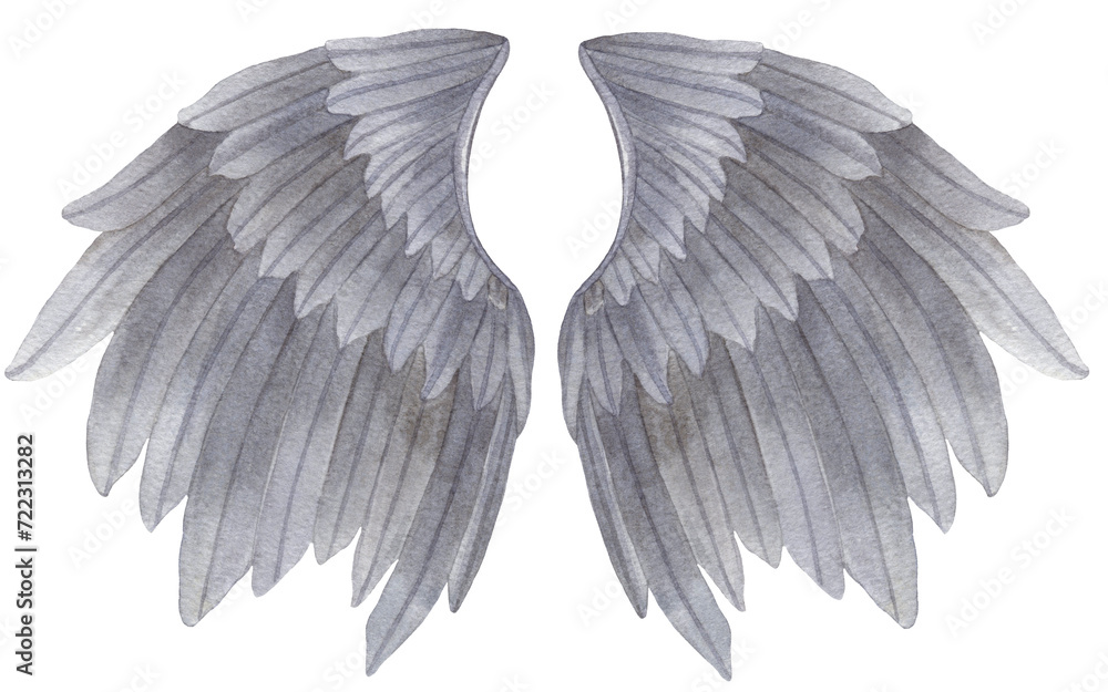 Watercolor grey Angel Wing illustration. Hand painted wing with grey ...