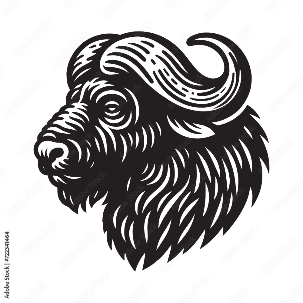 African buffalo head. Vintage engraving black and white vector ...